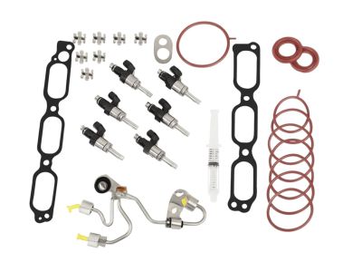 06160-RLV-305 - Genuine Honda FUEL INJECTOR KIT